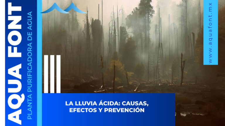 La lluvia ácida: Causas, efectos y prevención - AquaFont